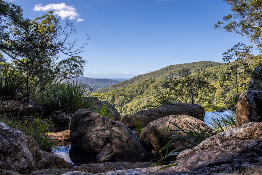 Photo Gallery - Escape to Tamborine Mountain