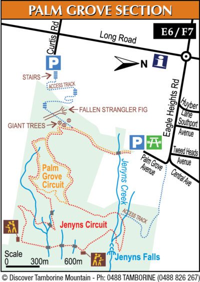 Tamborine Mountain Bushwalking Maps - Escape to Tamborine Mountain