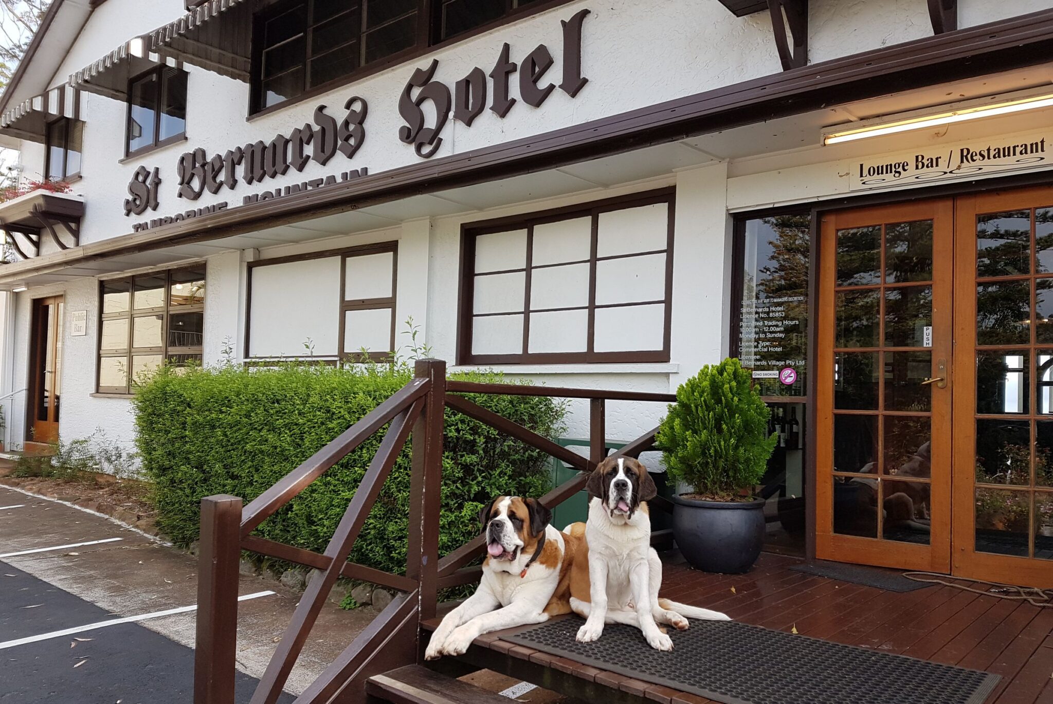 Escape to Tamborine Mountain - stay, explore